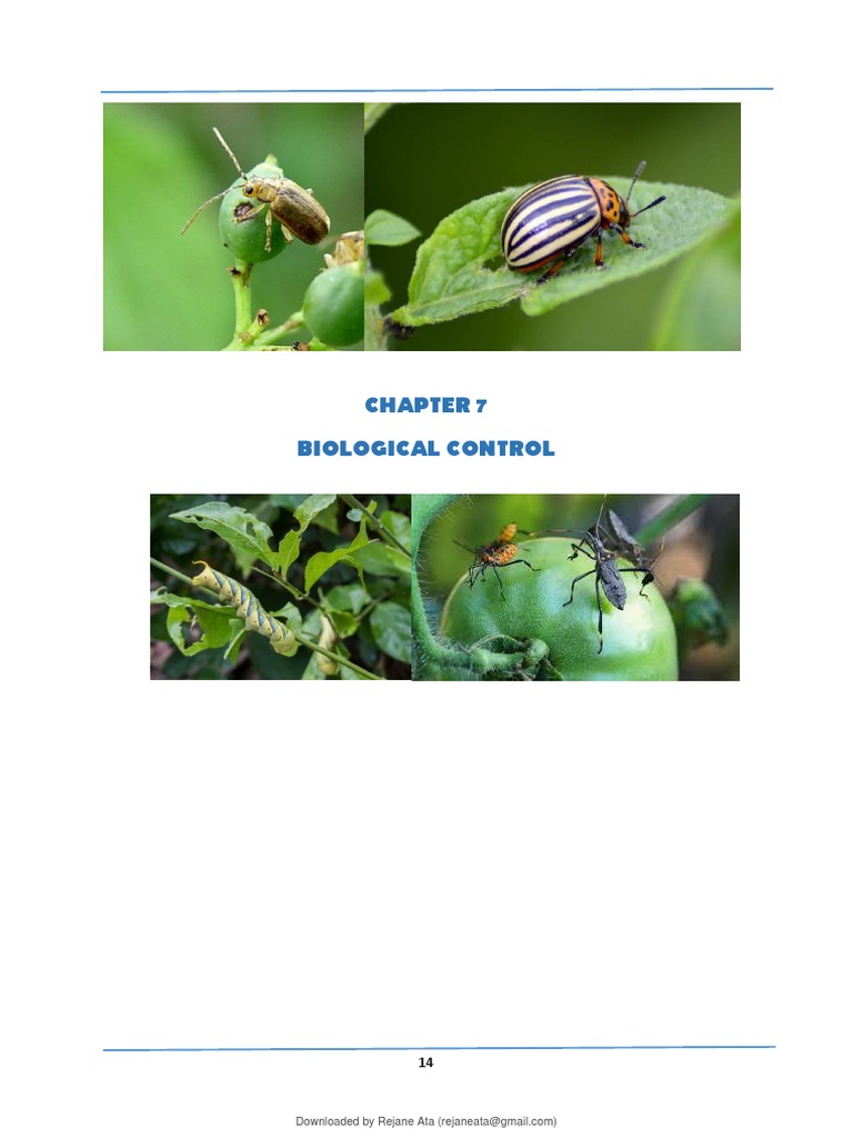 Biological Control in Pest Management | PDF | Biological Pest Control ...