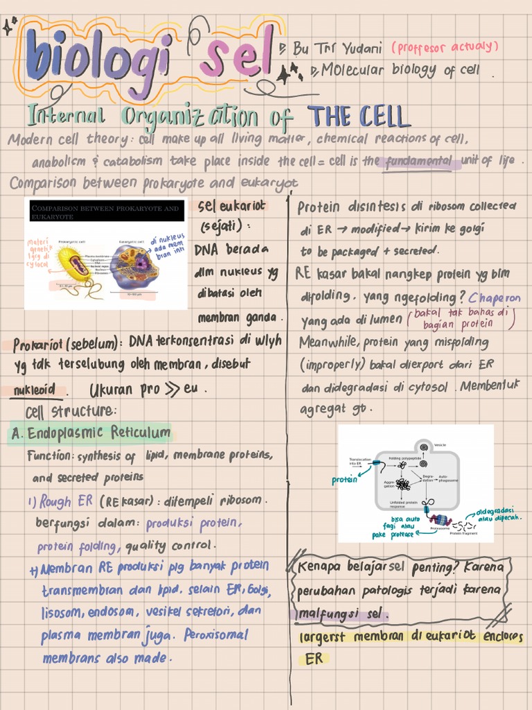 1 BMS 1 Biosel, Membran, Sitoskeleton, Cell Cycle 220120 040406 | PDF