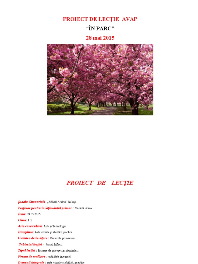 7 Proiect Avap | PDF