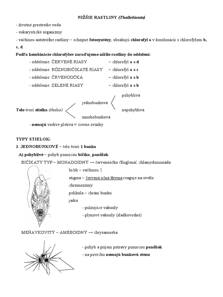 1a Nižšie rastliny IV | PDF