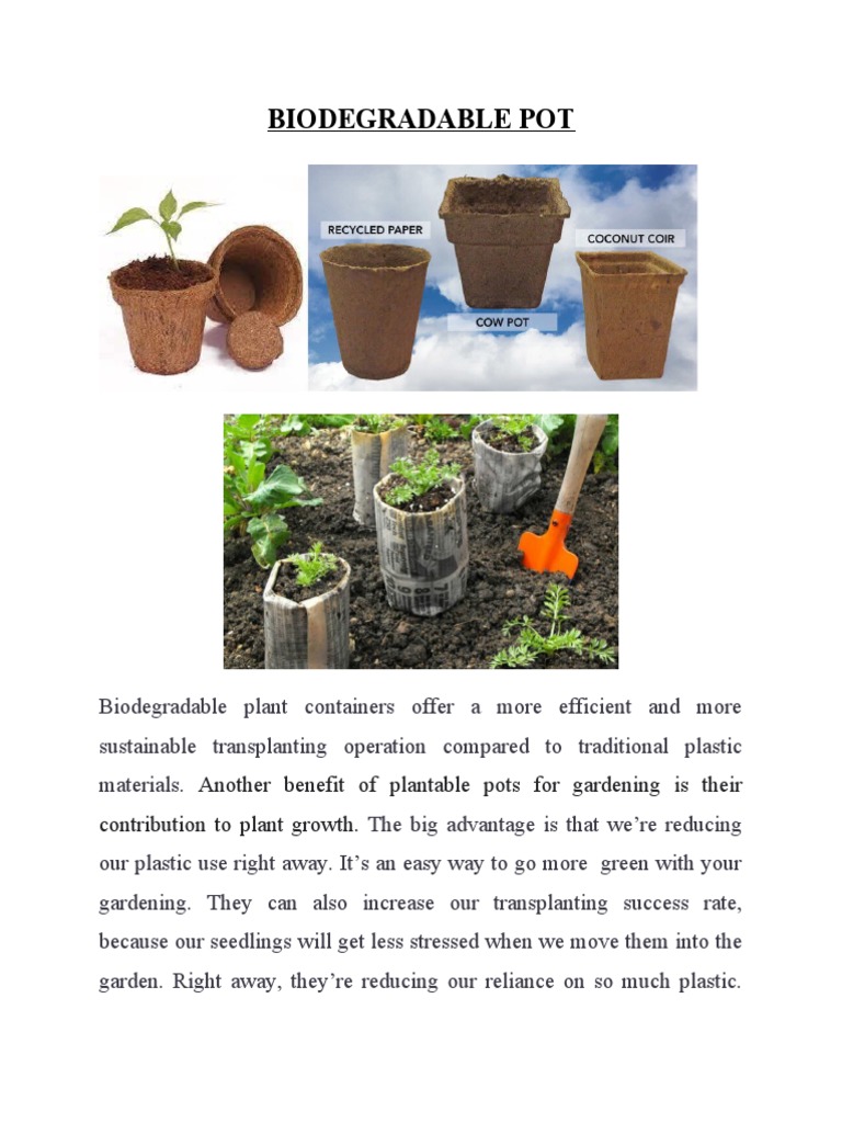 Biodegradable Pot | PDF
