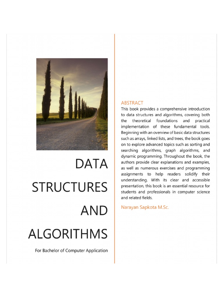 DSA BCA Final PRO | PDF