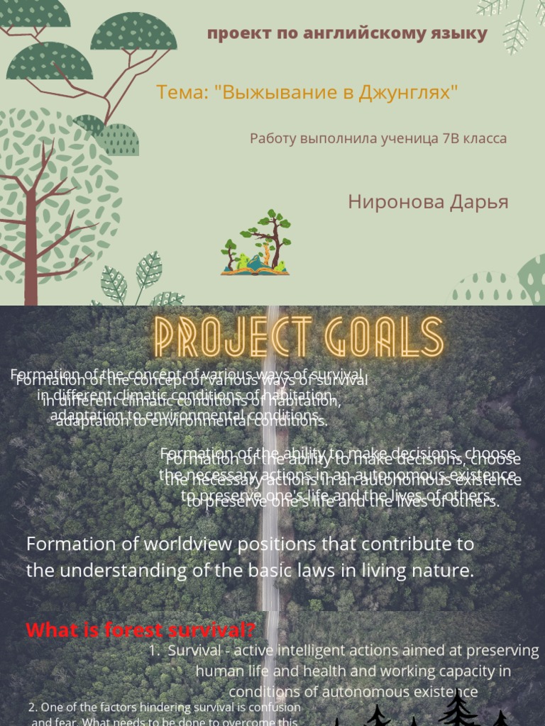 Survive in The Jungle | PDF