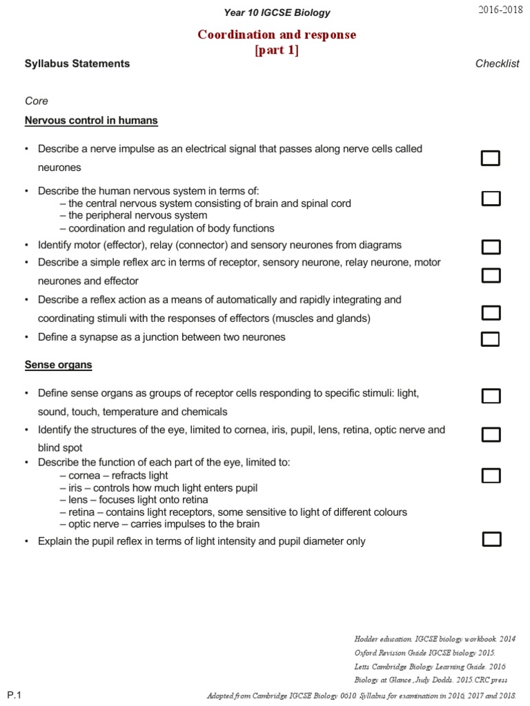 Co Ordination and Response Booklet | PDF | Neuron | Nervous System