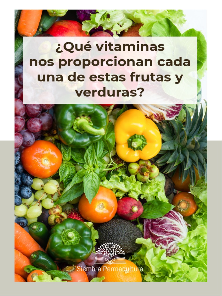 Dosier Que Vitaminas Me Aportan Mis Verduras Descargar Gratis Pdf