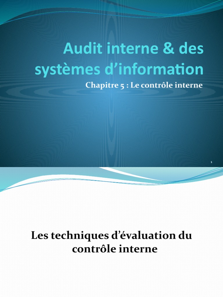 Chapitre 5, Audit Interne | PDF