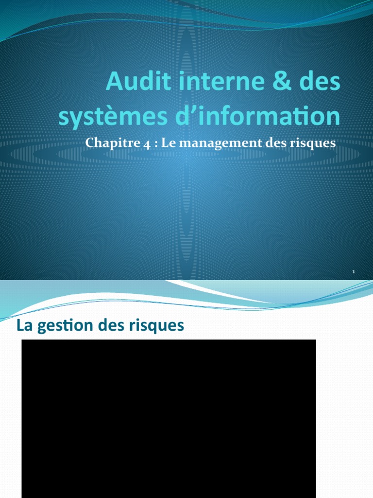 Chapitre 4, Audit Interne | PDF | Risque | Gestion des risques