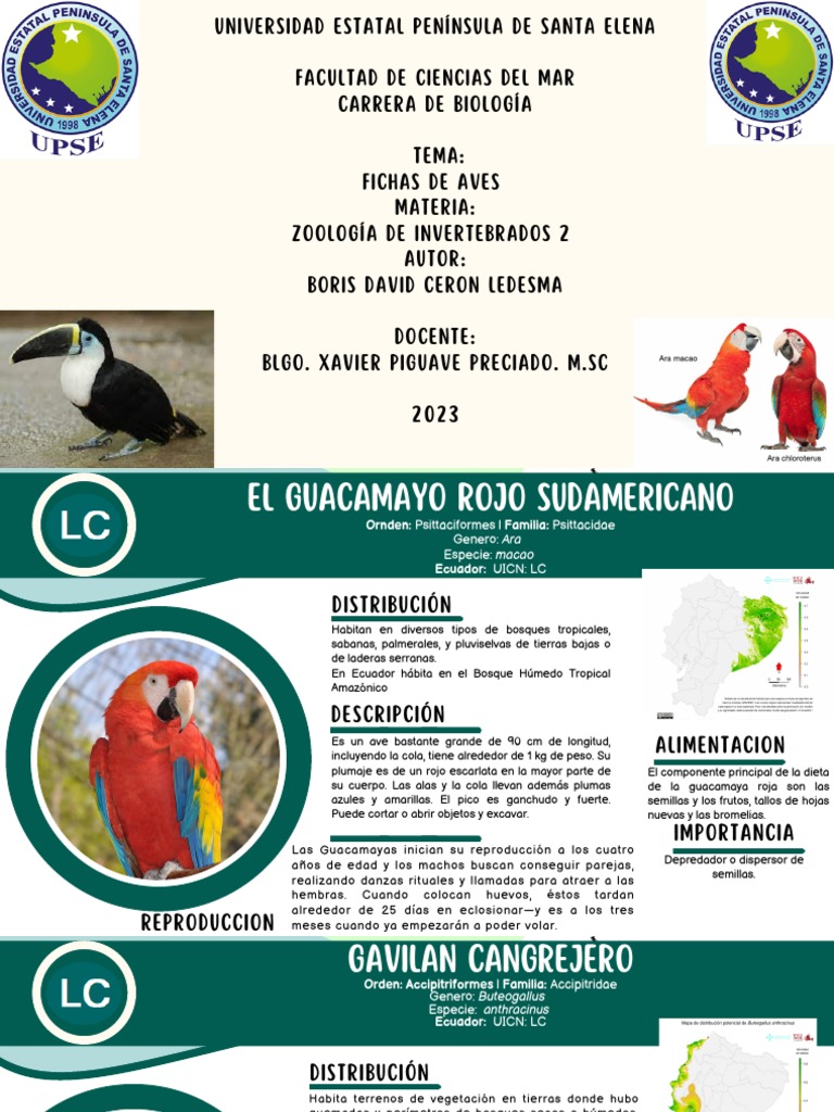 Taxonomia de Aves | PDF | Ornitología | Aves