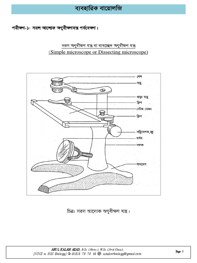 Biology Practical 3 | PDF | Optical Devices | Optics