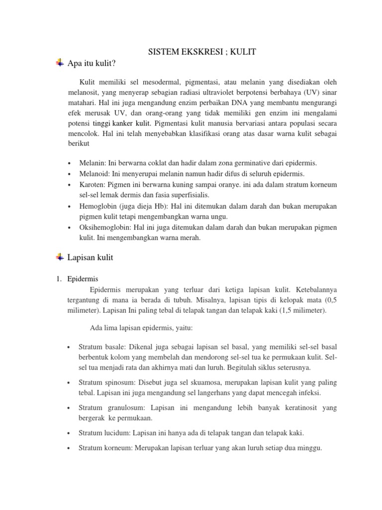 Materi Biologi Sistem Ekskresi Kulit | PDF