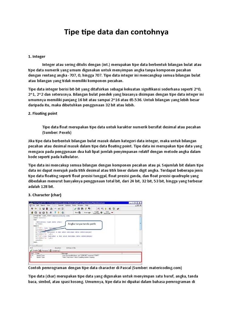 Tipe Tipe Data Dan Contohnya | PDF