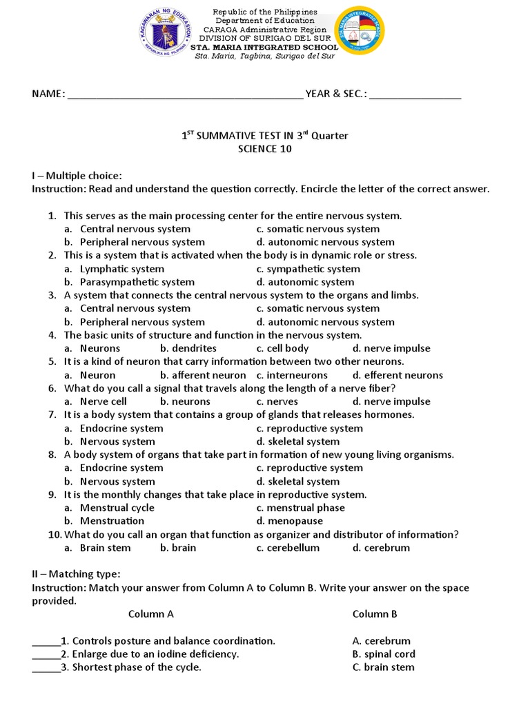1st Summative Test in Science 10 | PDF | Nervous System | Central ...
