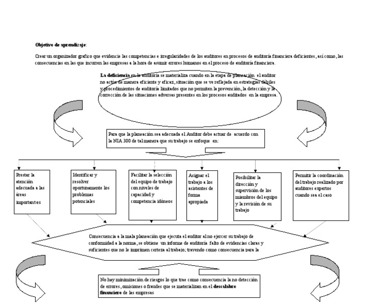 Objetivo de Aprendizaje (Organizador Grafico) | PDF | Auditoría ...