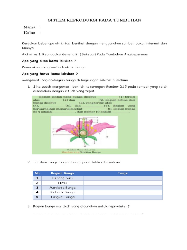 Tugas 1 Ipa Kelas 9 - Sistem Reproduksi Pada Tumbuhan | PDF | Sains & Matematika
