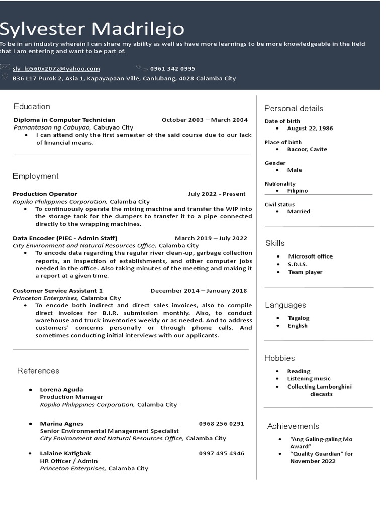 CV 2023 | PDF | Computing