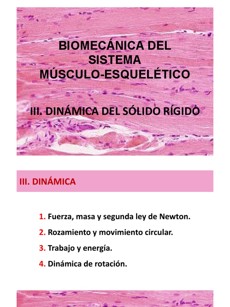 Biomec Sist Muscular III | PDF | Fuerza | Masa
