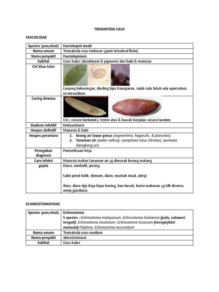 Trematoda Usus | PDF