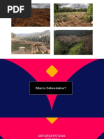DENR's 10 Priority Programs Overview | PDF | Science & Mathematics