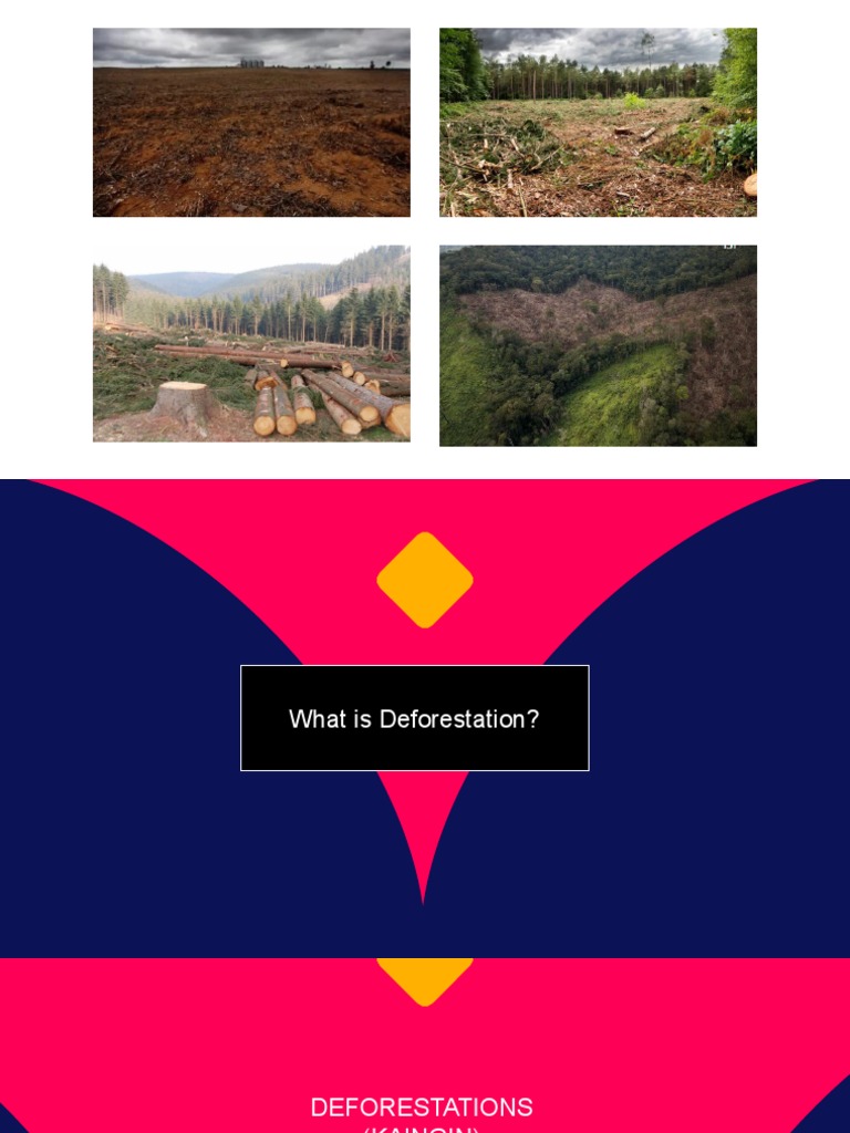 Kaingin System and Deforestation in the Philippines | PDF ...