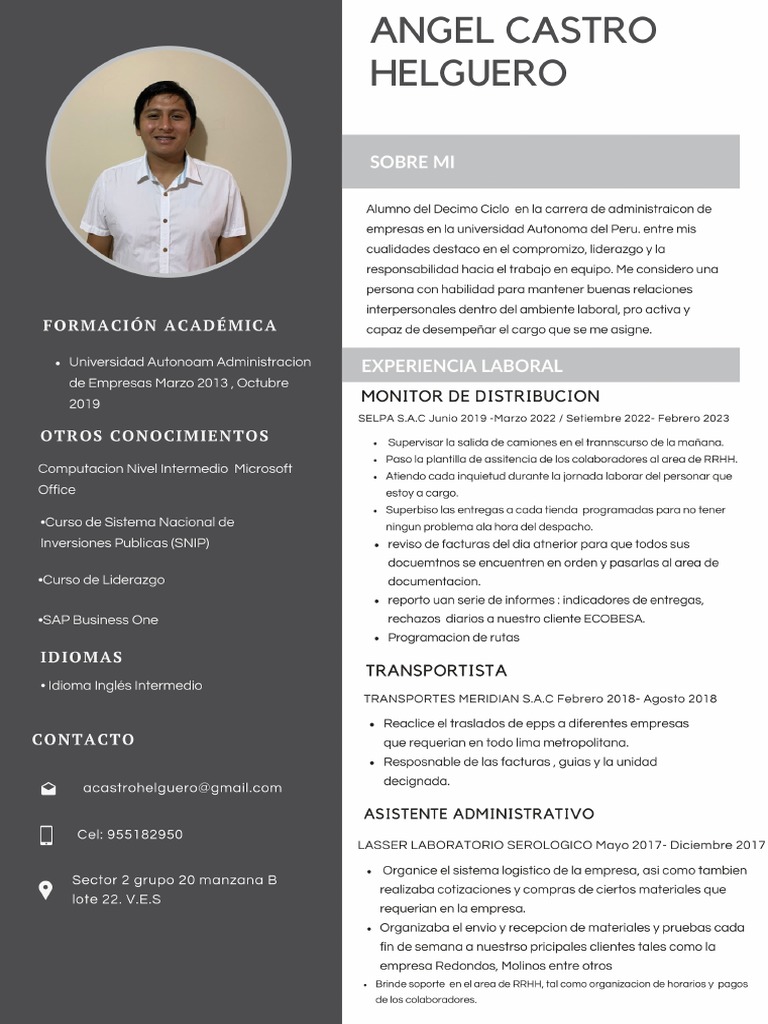 Angel Castro CV | PDF