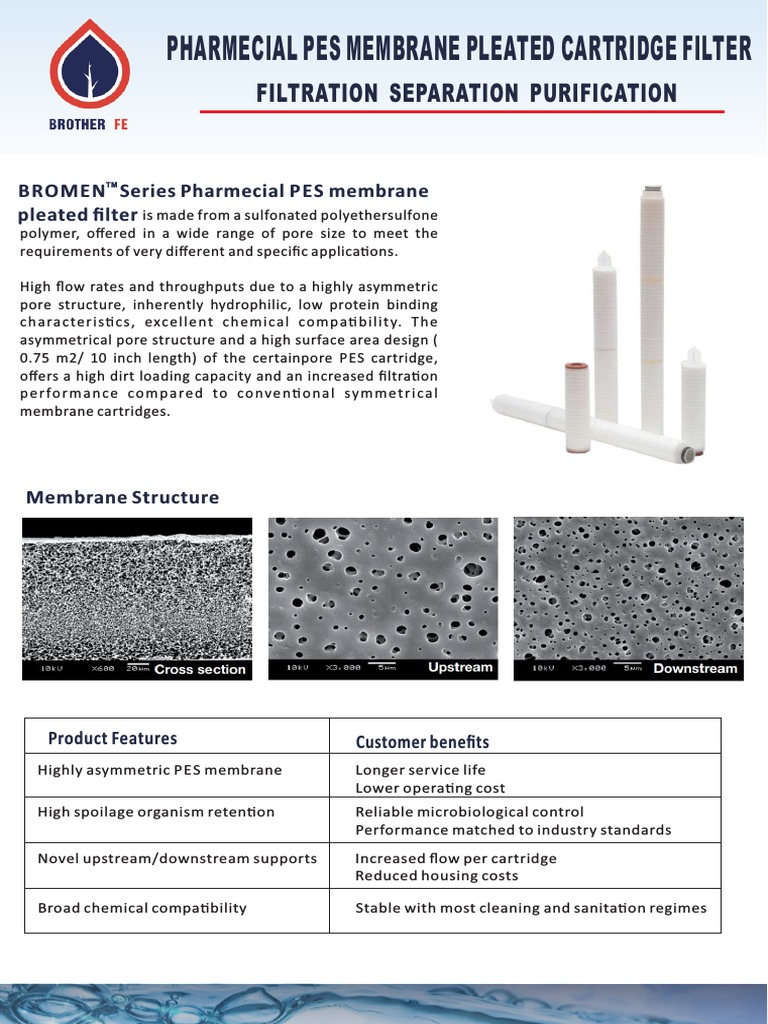 Pharmecial PES Membrane Pleated Filter | PDF | Chemistry | Chemical ...