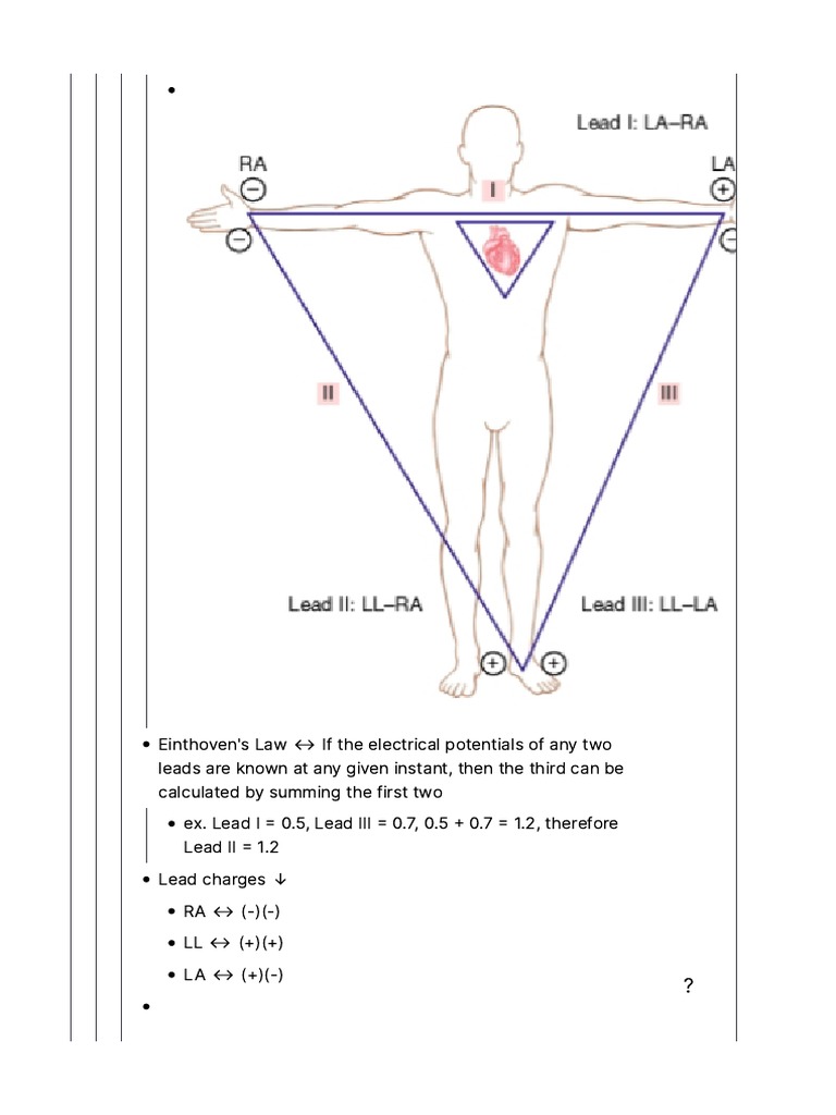 The Electrocardiogram (ECG) 2 | PDF