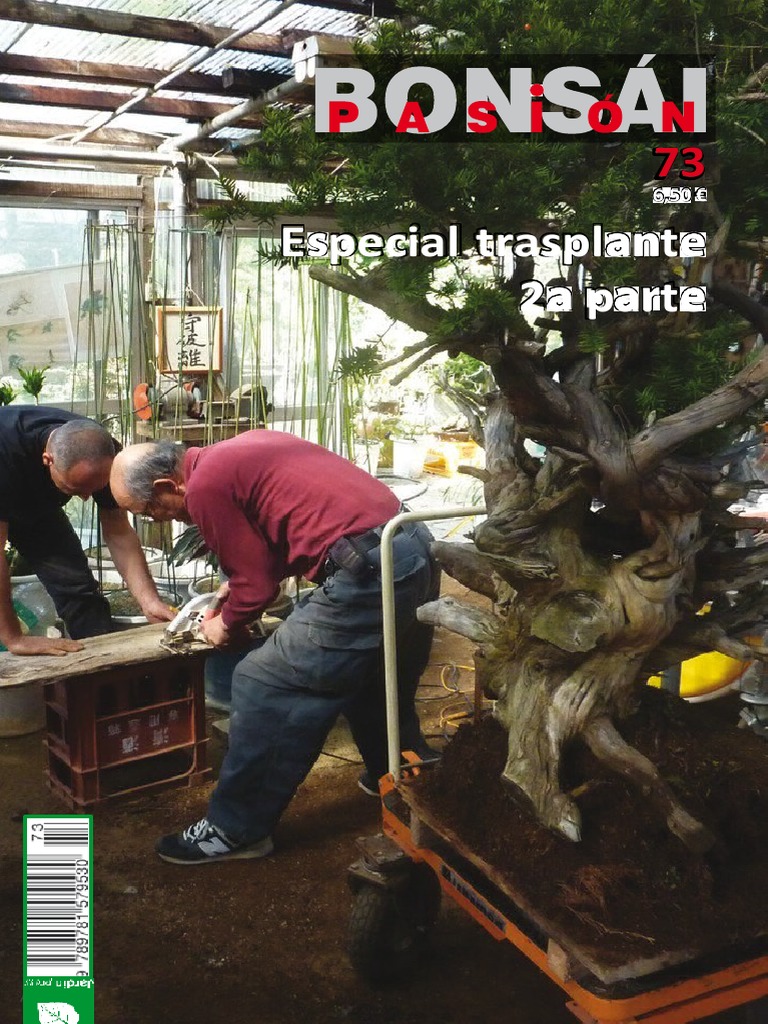 Bonsai Pasion No 73 Bonsai Pasion | PDF | Bonsai | Arboles