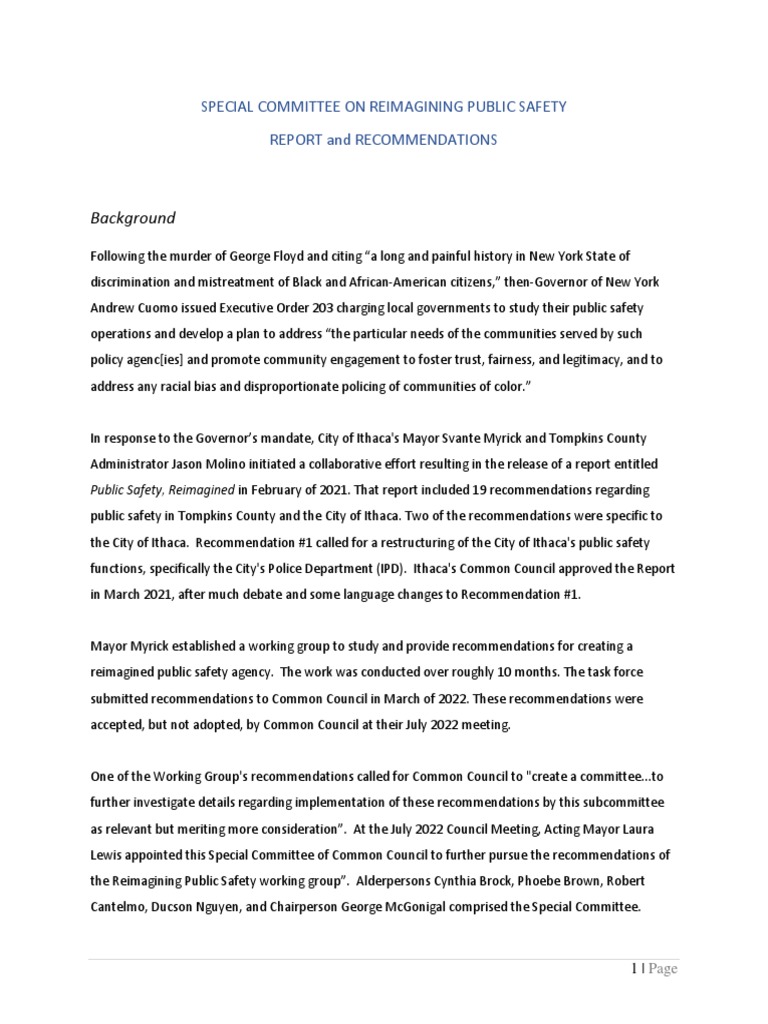 Final RPS Committee Report | PDF | Police | Whistleblower