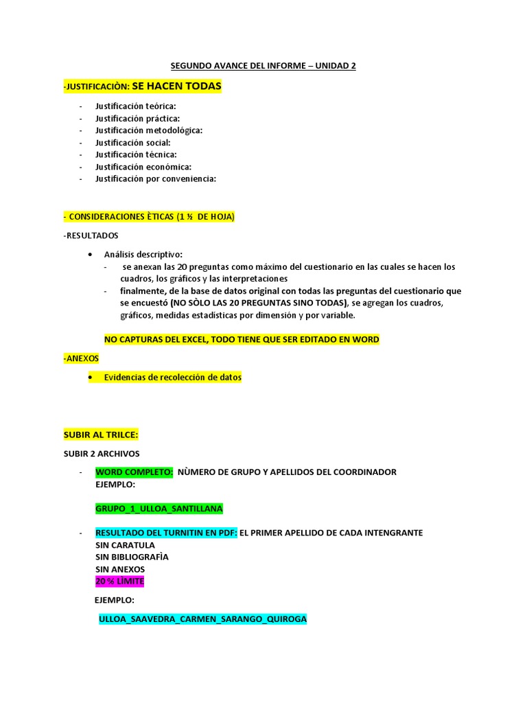 Segundo Avance Del Informe | PDF