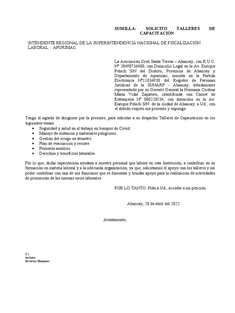 Solicitud A Sunafil | PDF