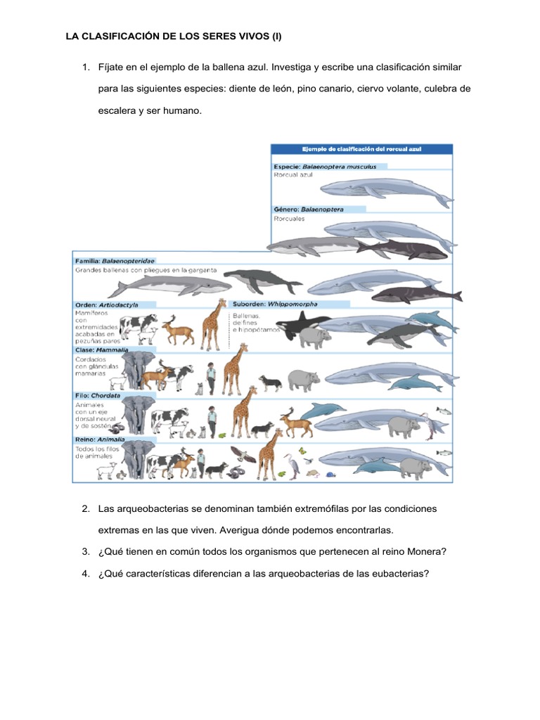 Actividad - Clasificación de Los Seres Vivos (I) | PDF