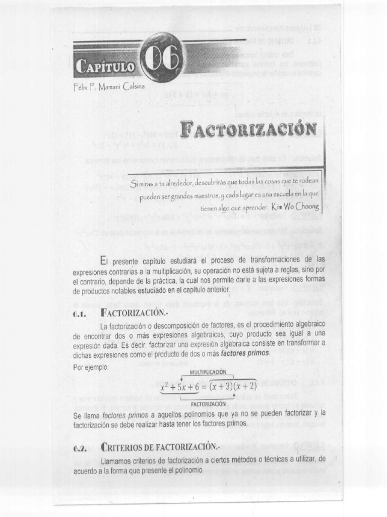 6 Factorizacion Algebra Felix Mamani Calsina Compressed | PDF
