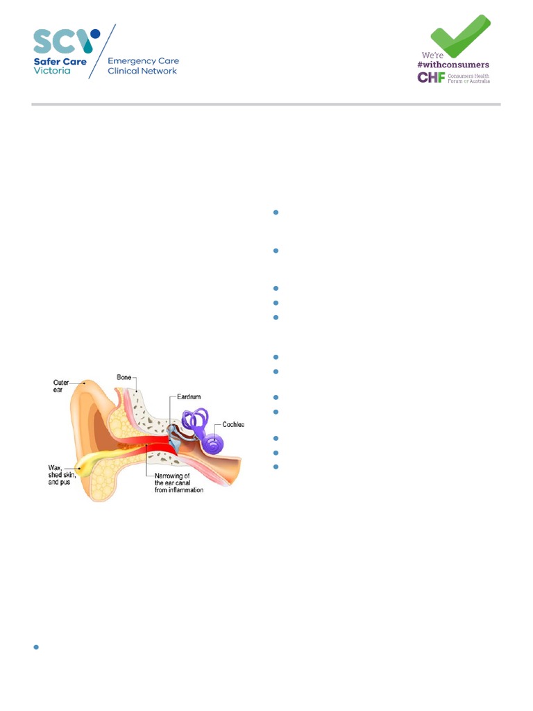 Otitis Externa | PDF