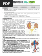 Anatomia de La Rata Externa e Interna Tacher | PDF | Riñón | Abdomen
