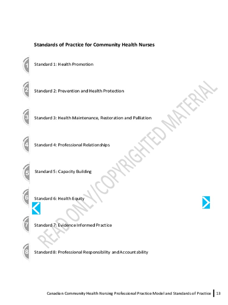 CHN Standards | PDF