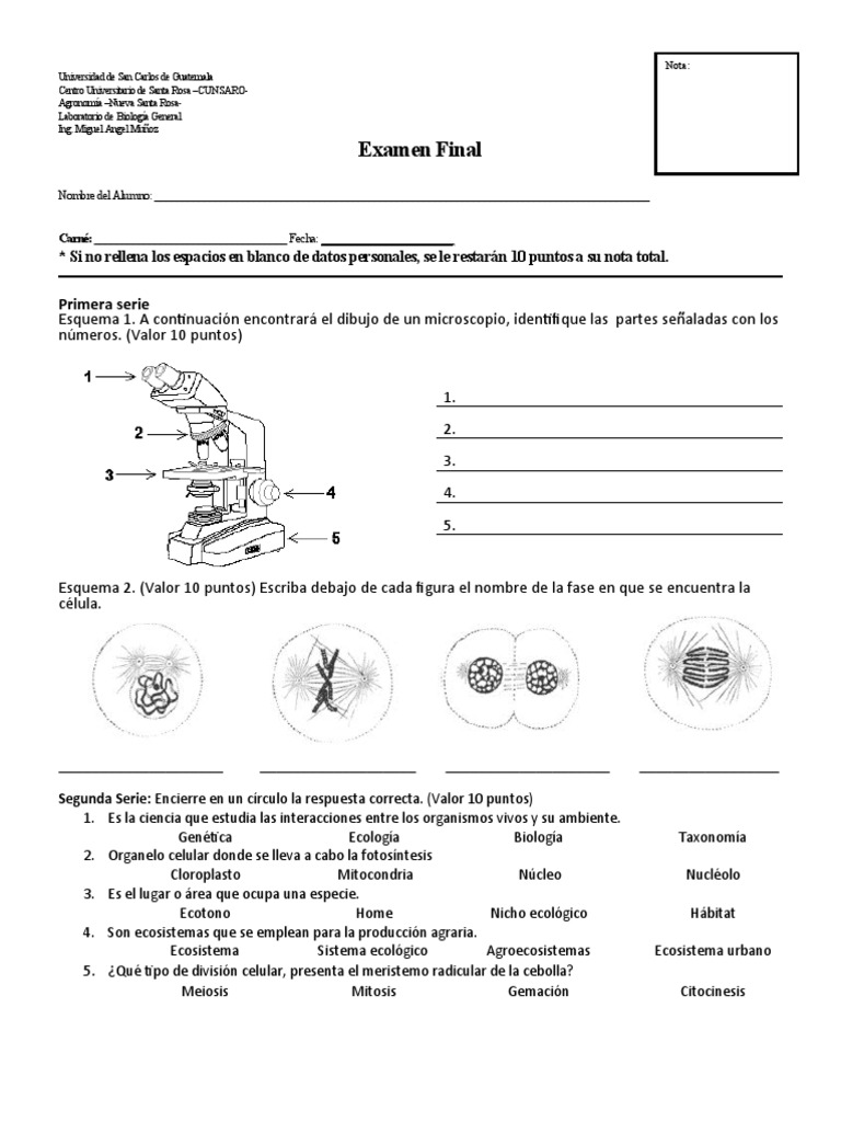 Examen Final de Lab Biología | PDF | Dominancia (Genética) | Biología ...