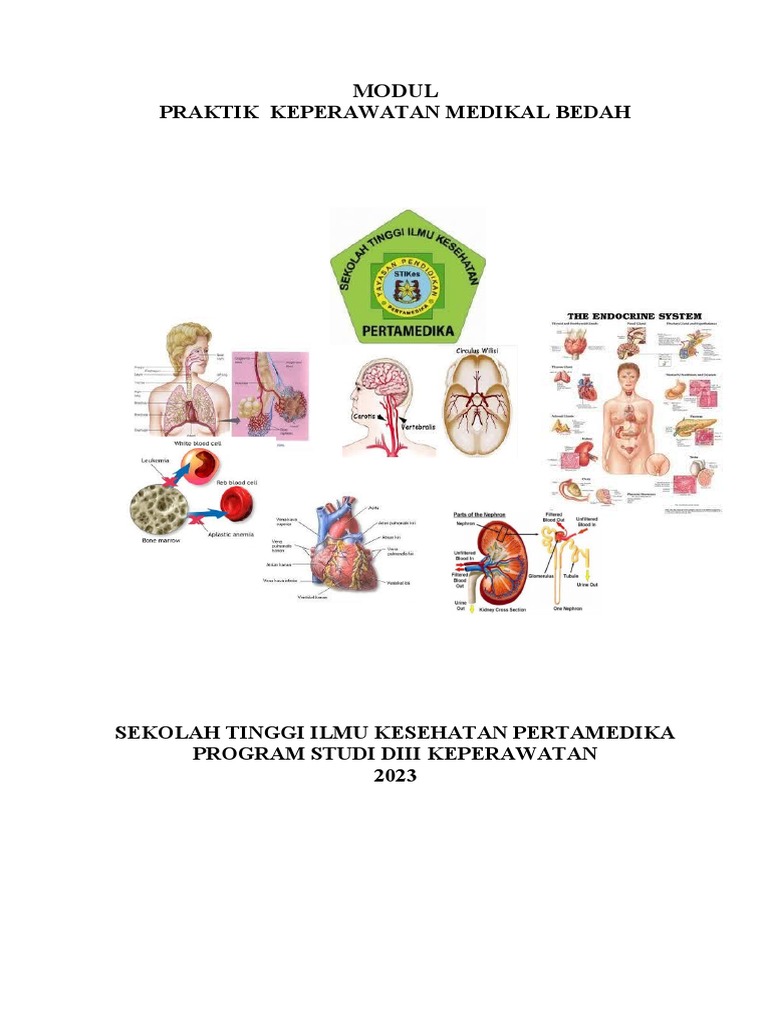 MODUL KMB I D3 | PDF