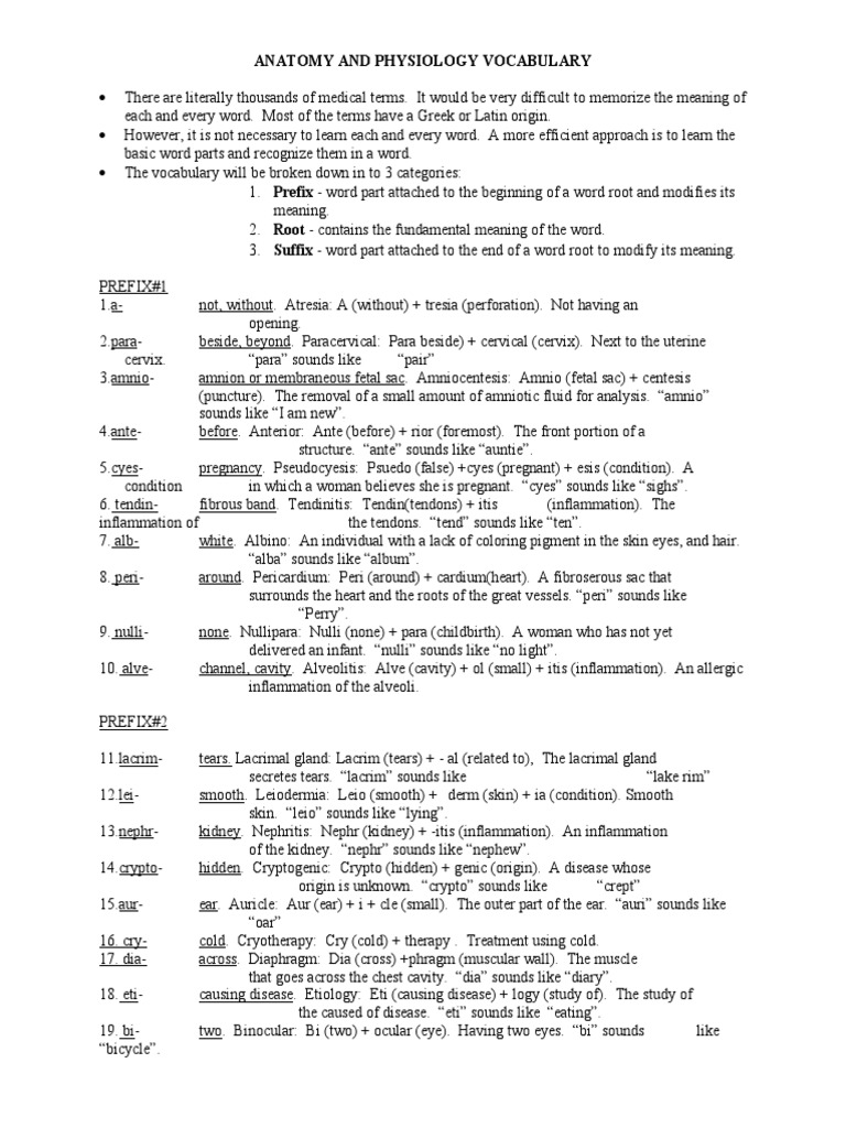 Anatomy and Physiology Vocabulary1 | PDF | Pancreas | Peritoneum