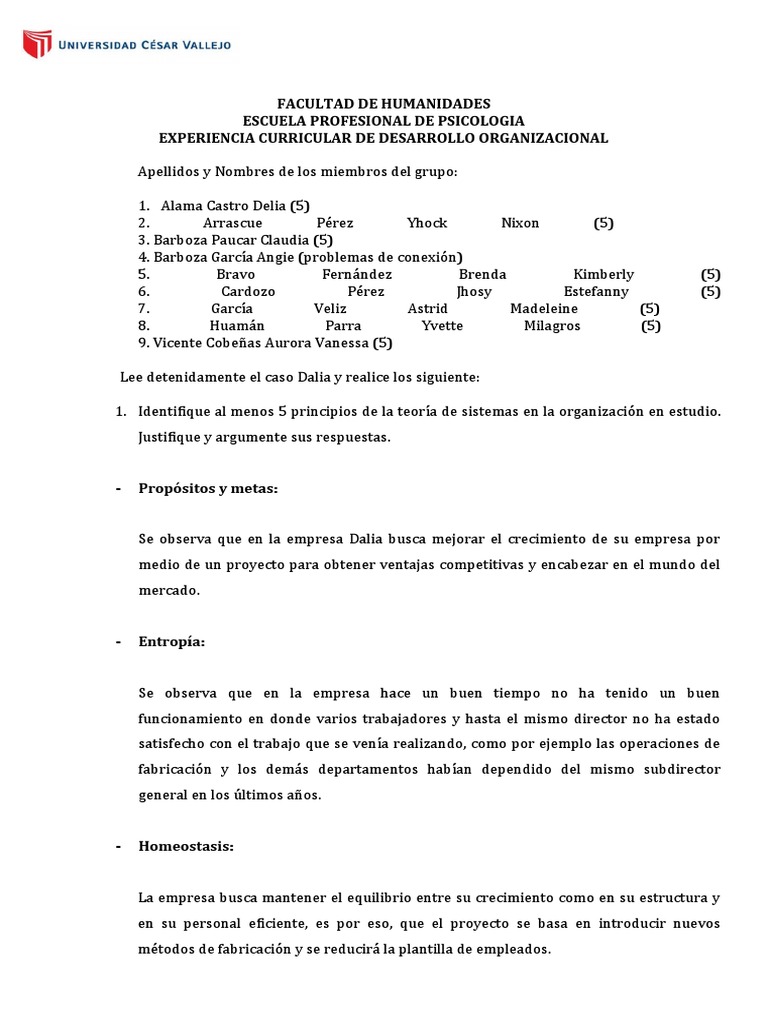 Caso Empresa Dalia-Grupo 1 | PDF | Economias