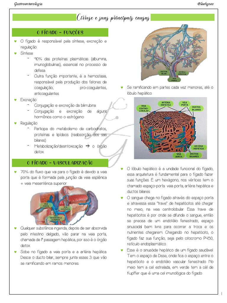 Cirrose e Suas Principais Causas | PDF | Bile | Fígado