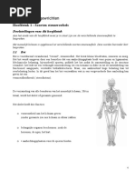Anatomie Van de Heup | PDF