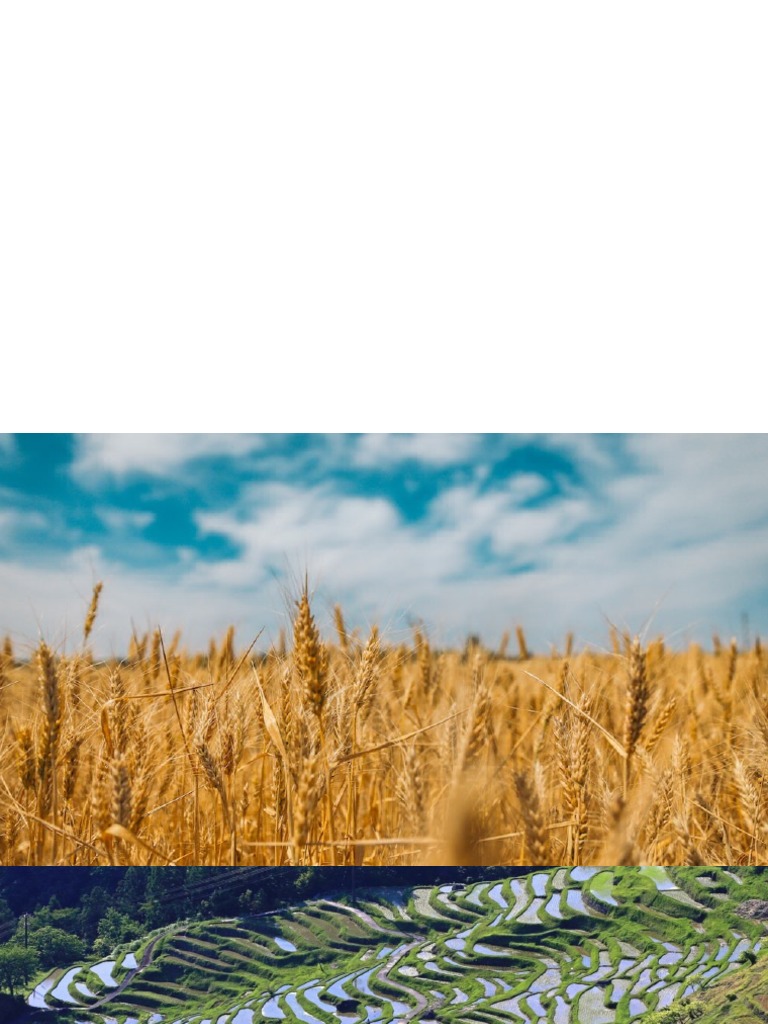 SBA Oral (Poem) Backgrounds | PDF