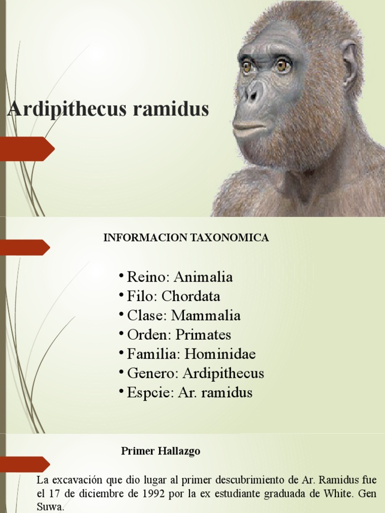 Ardipithecus ramidus: Hallazgos y Características | PDF | Ciencias sociales