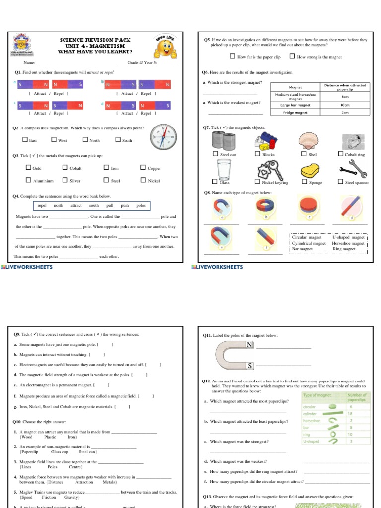 Magnetism Practice Work | PDF | Magnet | Magnetism