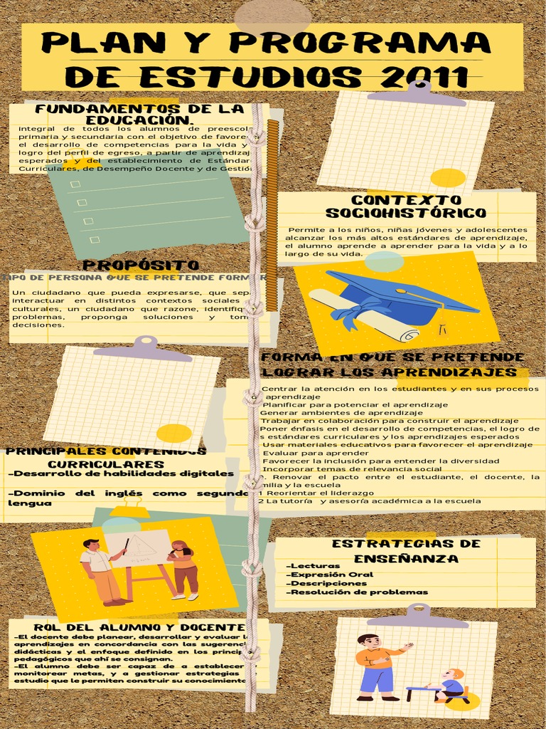 Infografía Del Plan 2011 | PDF