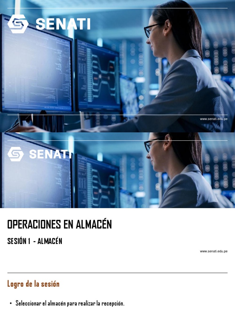 Sesión 01 - Almacen | PDF