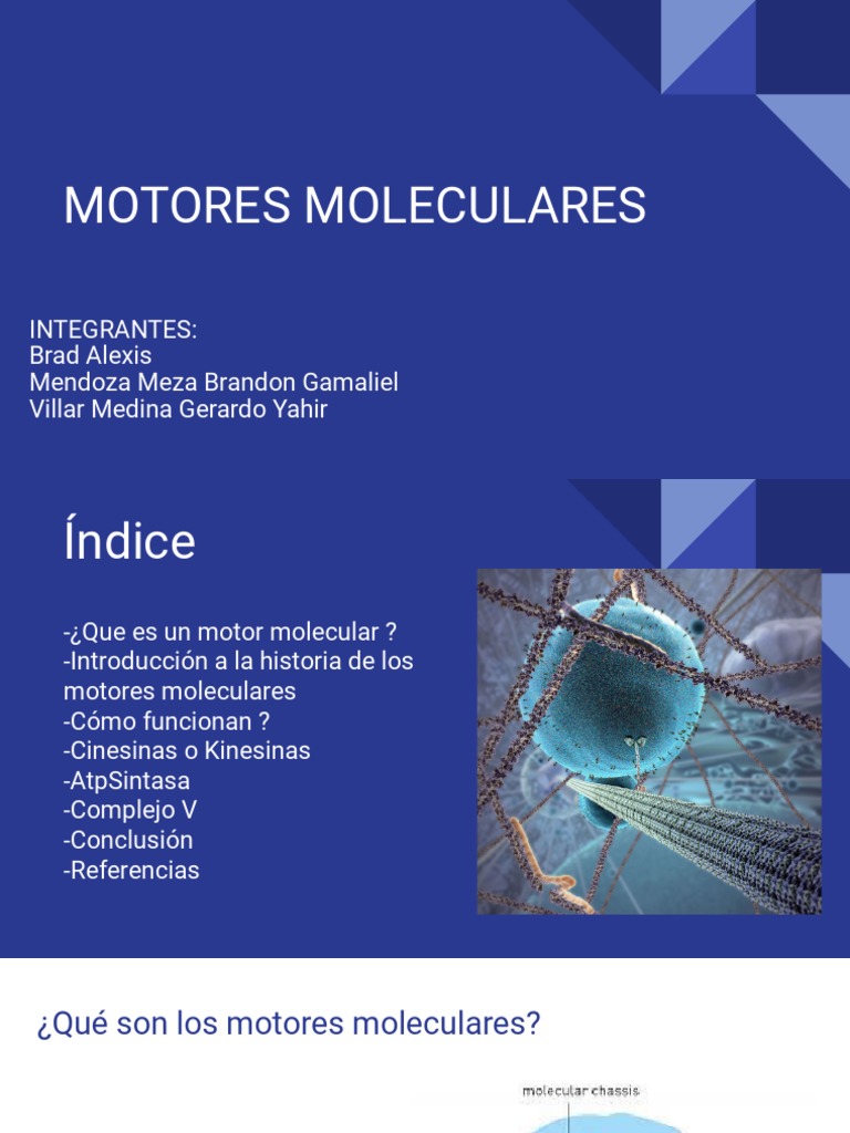 Motores Moleculares en Células | PDF | Trifosfato de adenosina ...