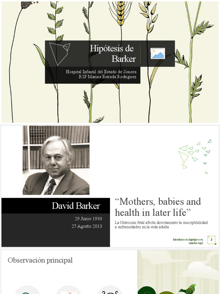 Hipótesis de Barker y Nutrición Fetal | PDF | Nutrición | Dieta y nutrición