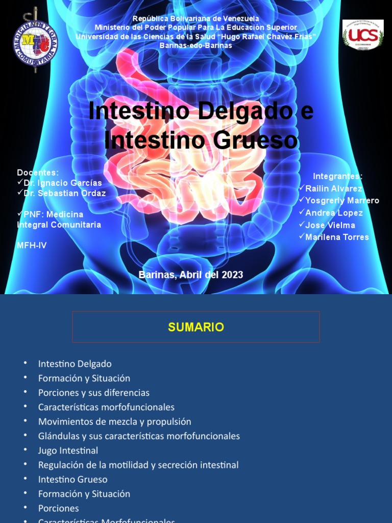 MFH 04 - Tema 11, Parte 02 - Intestino Delgado y Intestino Grueso | PDF ...
