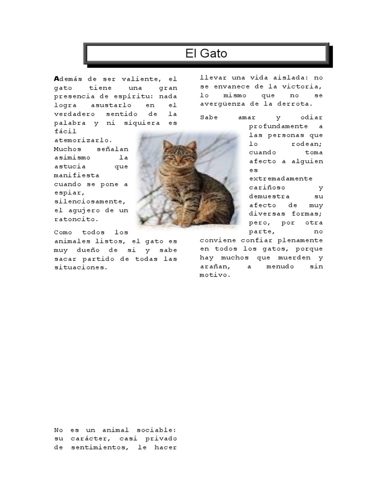 El Gato | PDF